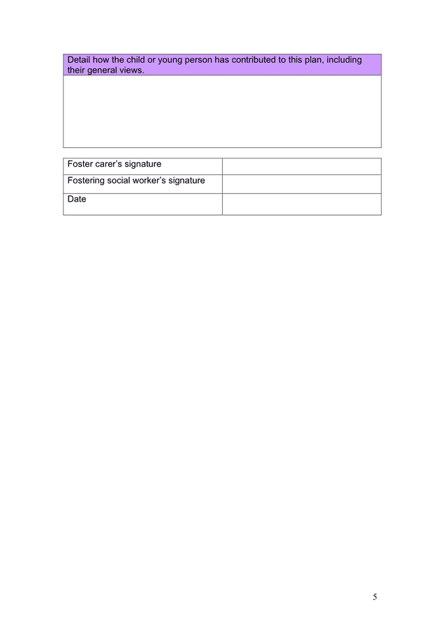 Safer caring plan form in Word and Pdf formats - page 5 of 5