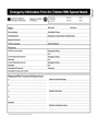 Emergency Information Form for Children With Special Needs in Word and ...