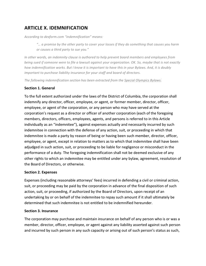 Nonprofits Bylaws Template In Word And Pdf Formats Page 15 Of 17