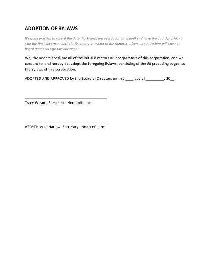Nonprofits Bylaws Template In Word And Pdf Formats Page 17 Of 17