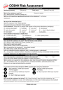 COSHH risk assessment form in Word and Pdf formats