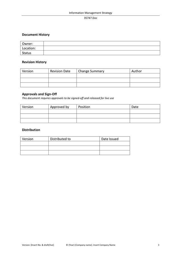 Information Management Strategy Template In Word And Pdf Formats Page 