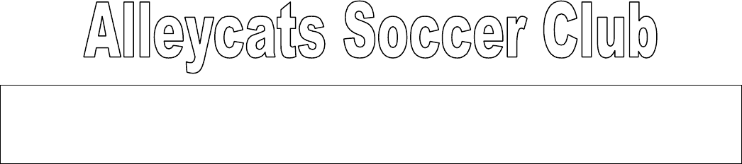 Soccer player medical release form in Word and Pdf formats