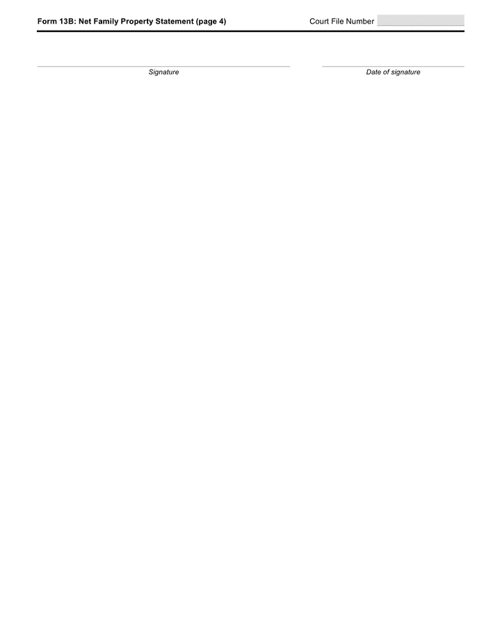 Form 13B net family property statement (Canada) in Word and Pdf formats ...