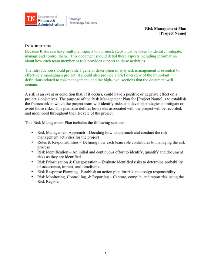 Risk management plan template in Word and Pdf formats - page 5 of 12