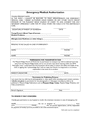 Emergency medical authorization form in Word and Pdf formats