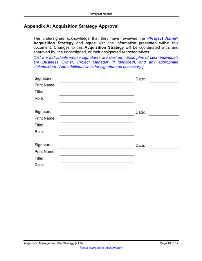 Acquisition strategy template in Word and Pdf formats - page 10 of 12