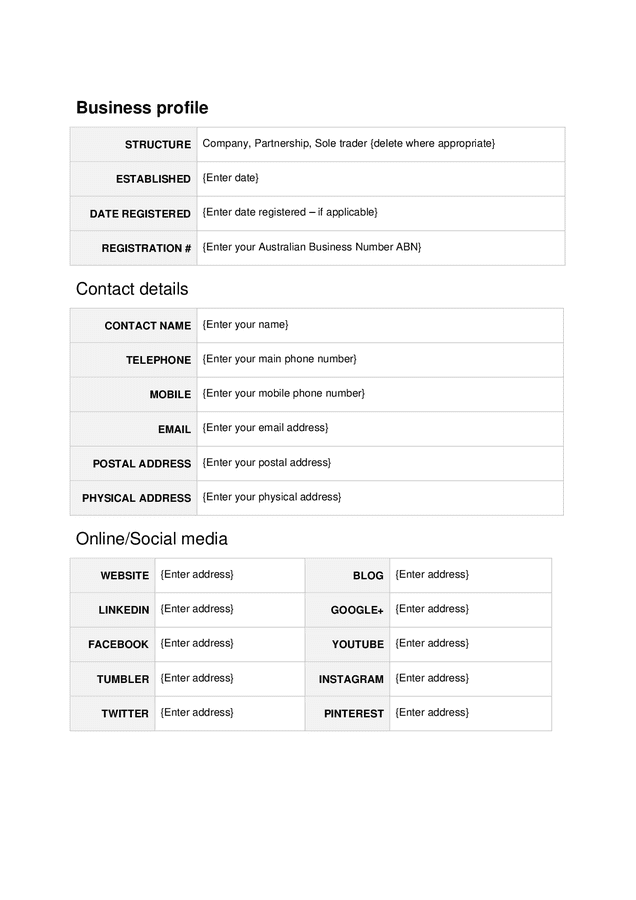 Business plan template in Word and Pdf formats - page 3 of 29