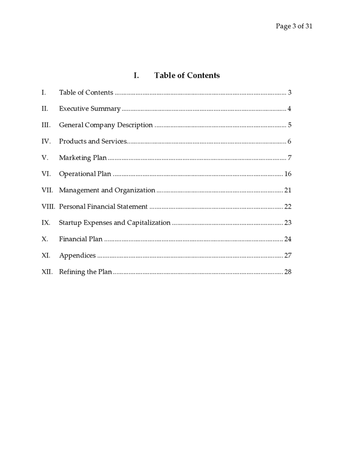 Business plan template in Word and Pdf formats - page 3 of 31