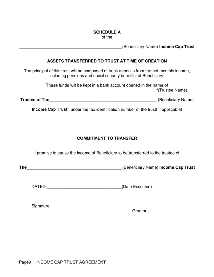 Irrevocable living trust agreement in Word and Pdf formats - page 9 of 9