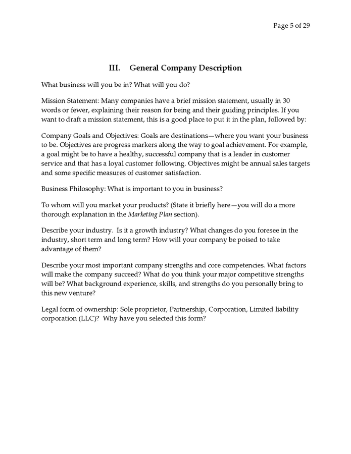 Business plan for a startup business in Word and Pdf formats - page 5 of 29