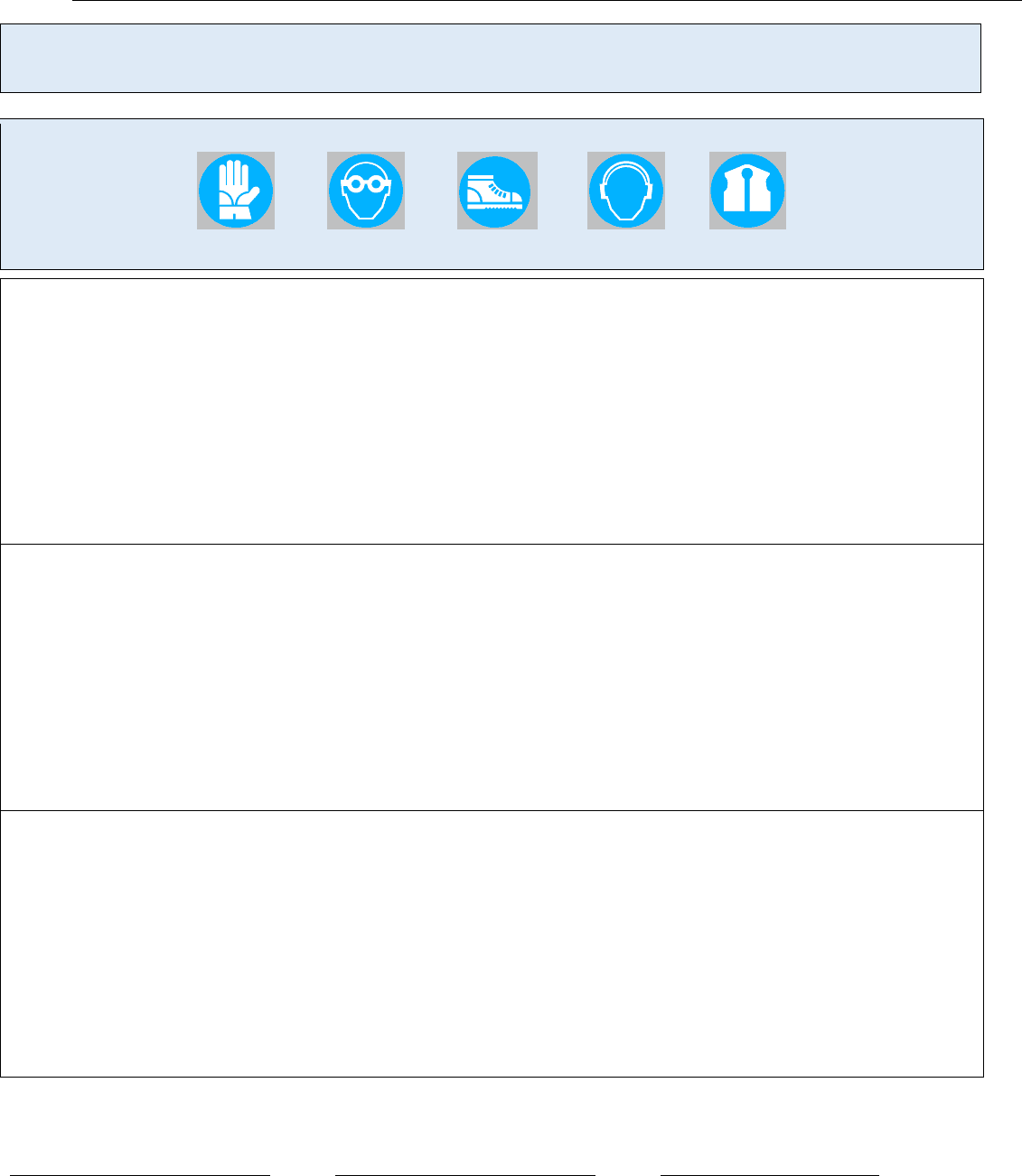 Safe work procedure in Word and Pdf formats