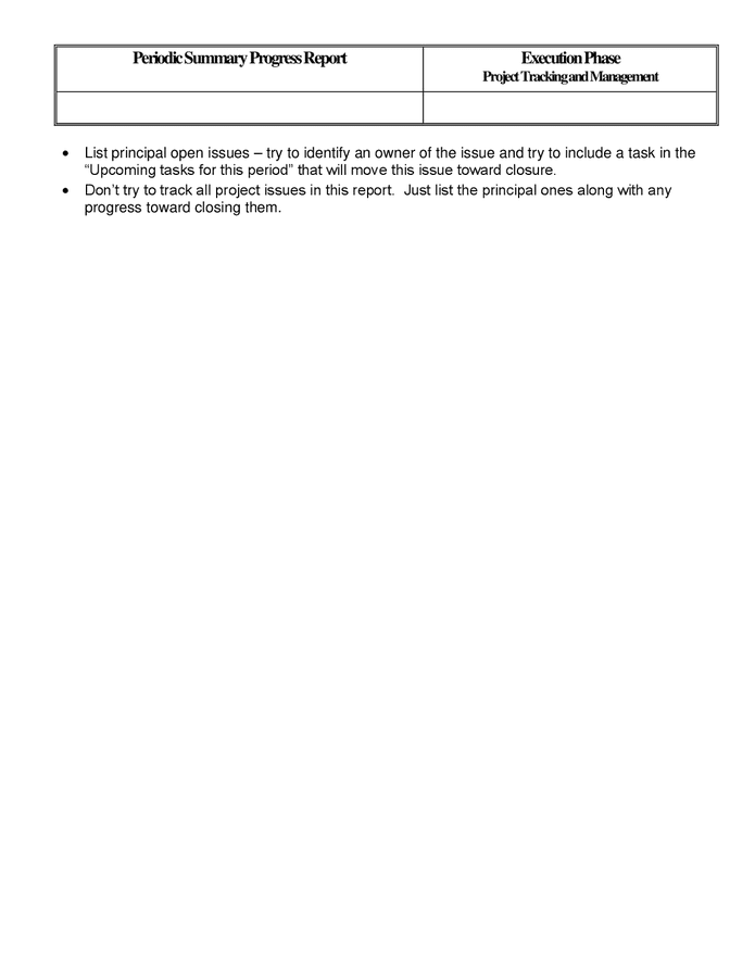 Periodic progress summary report template in Word and Pdf formats ...
